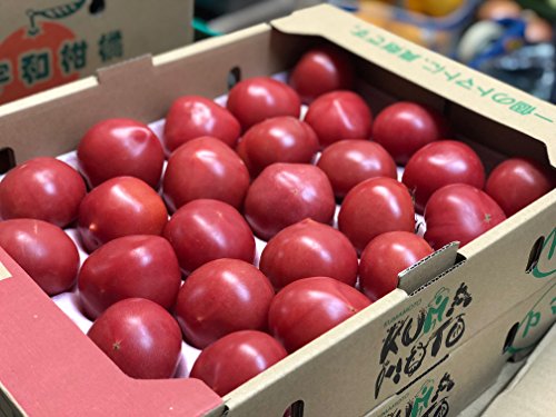 "피부과 의사가 말한 이 '음식', 제발 드세요 피부 건강에 최고입니다.